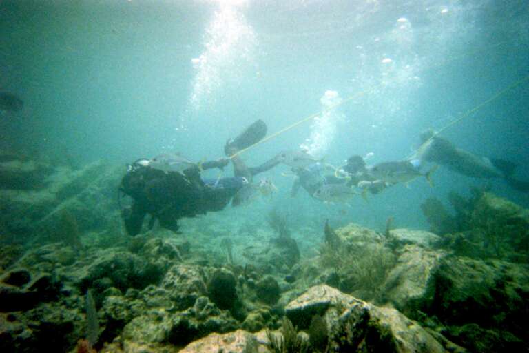 18 Wonderful Step-by-Step Photos of Walking on the Ocean Floor