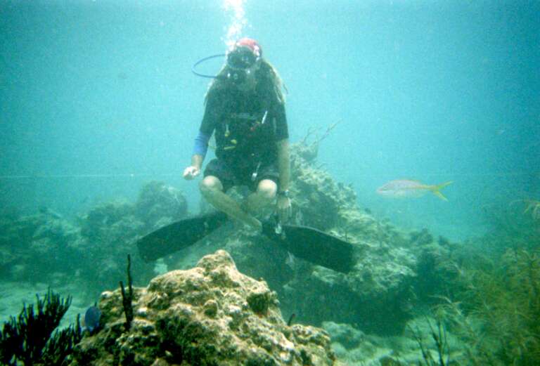 18 Wonderful Step-by-Step Photos of Walking on the Ocean Floor