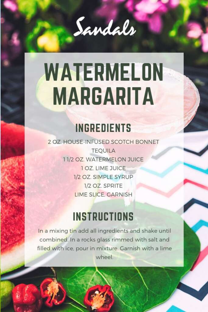 This Watermelon Margarita Sandals Recipe is One in a Melon! - Michelle ...